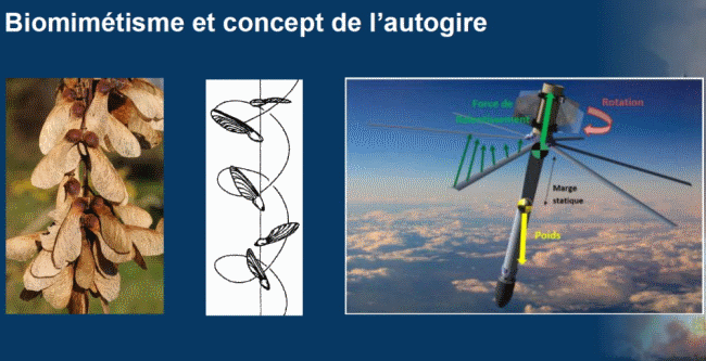 Centrale Lyon Cosmos : le biomimétisme fait décoller le projet Hélix